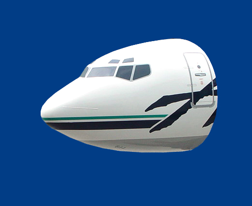 How to model aircraft nose in SW? | GrabCAD Questions