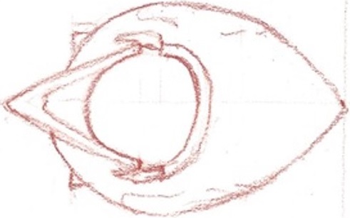 Tips/Help for bird assembly model | GrabCAD Questions