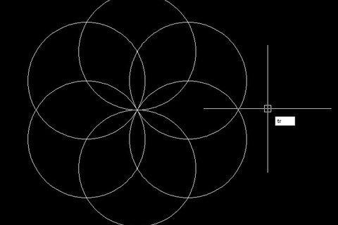 How to model a flower in Autocad 2007 2D? - GrabCAD