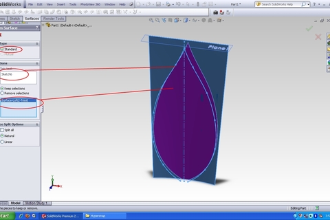 Tutorial: How to make a leaf structure in Solidworks? - GrabCAD