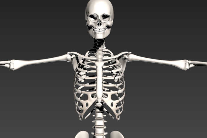 Human Skeleton used for a Parametric Gait Study - AutoCAD - 3D CAD model - GrabCAD