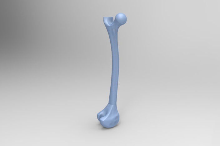 FEMUR - STEP / IGES - 3D CAD model - GrabCAD