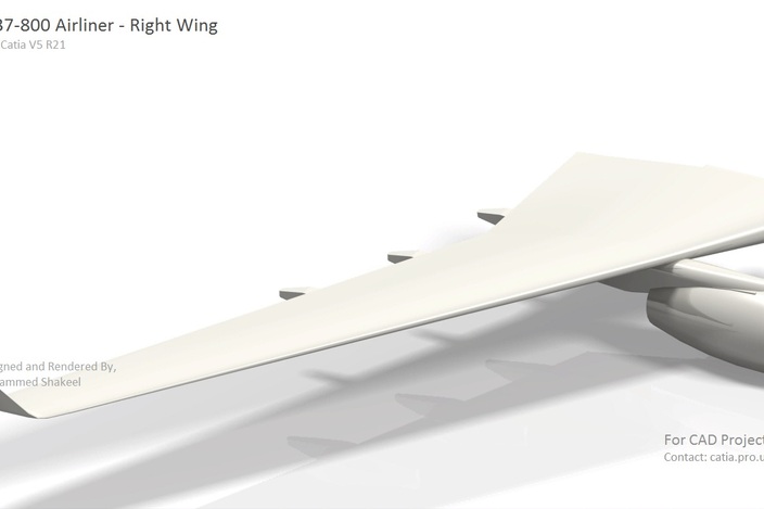 Boeing 737-800 Airliner-Right Wing