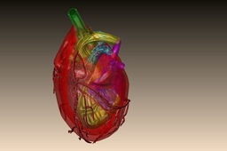 Most downloaded models tagged with heart - GrabCAD