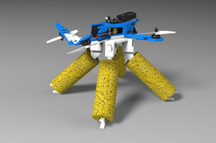 The whale sponge (QUASS) - STL, STEP / IGES, SOLIDWORKS - 3D CAD model ...