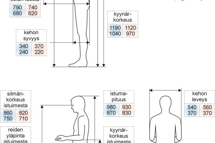 Human dimensions - - 3D CAD model - GrabCAD